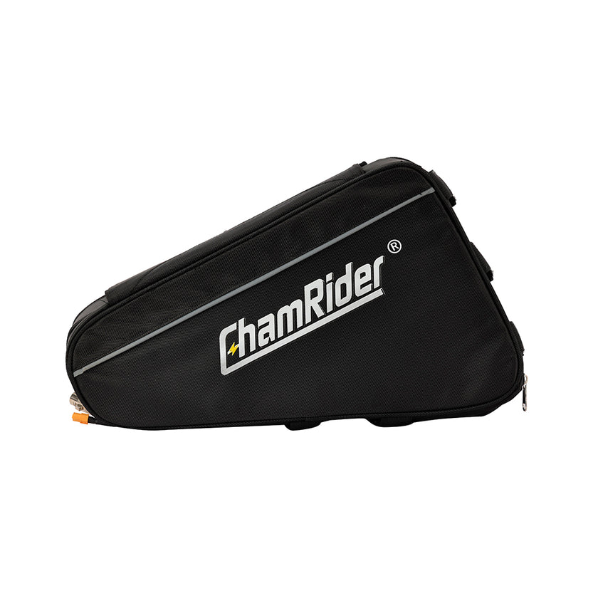 What to Look for When Buying a Triangle Electric Bike Battery ...
