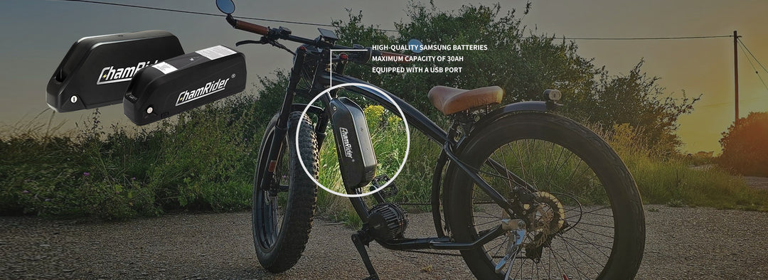 High-performance Electric Bicycle Batteries | ChamRider – ChamRiderbattery