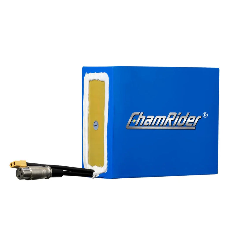 High-performance Electric Bicycle Batteries | ChamRider – ChamRiderbattery